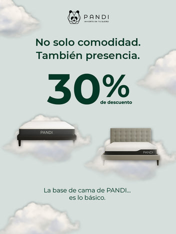 PANDI - INVIERTE EN TU SUEÑO