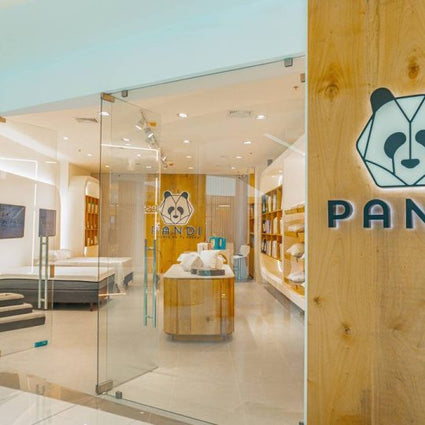 Nuestras Tiendas PANDI | Ubicaciones en Costa Rica