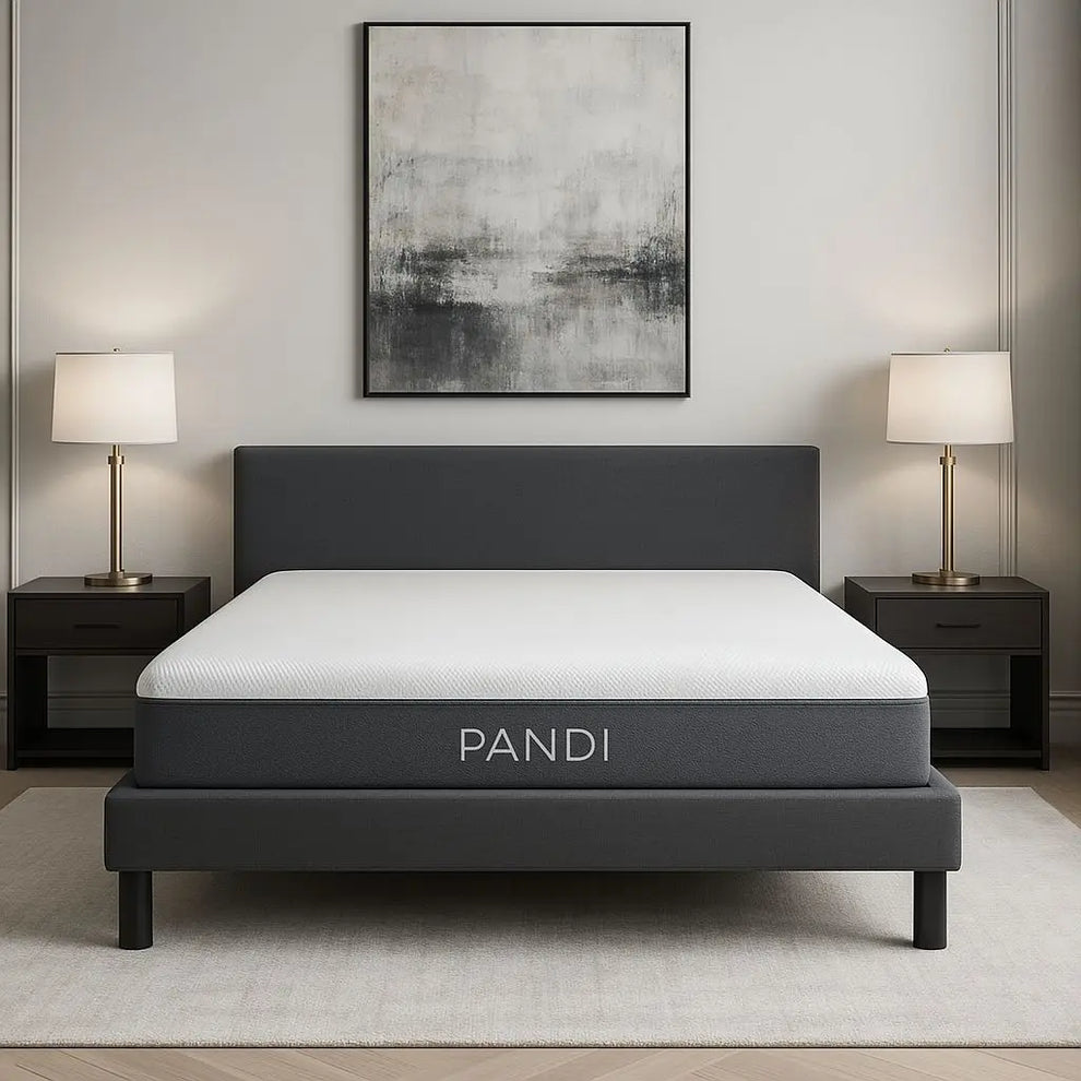 PANDI - INVIERTE EN TU SUEÑO