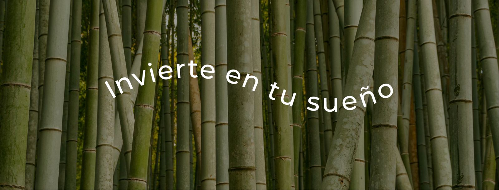 Visita Nuestras Tiendas – PANDI